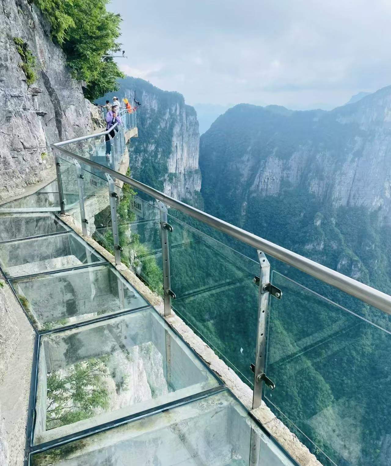 Heart-Pounding Heights | Zhangjiajie Tianmen Mountain National Forest Park Day Tour, Hunan ...